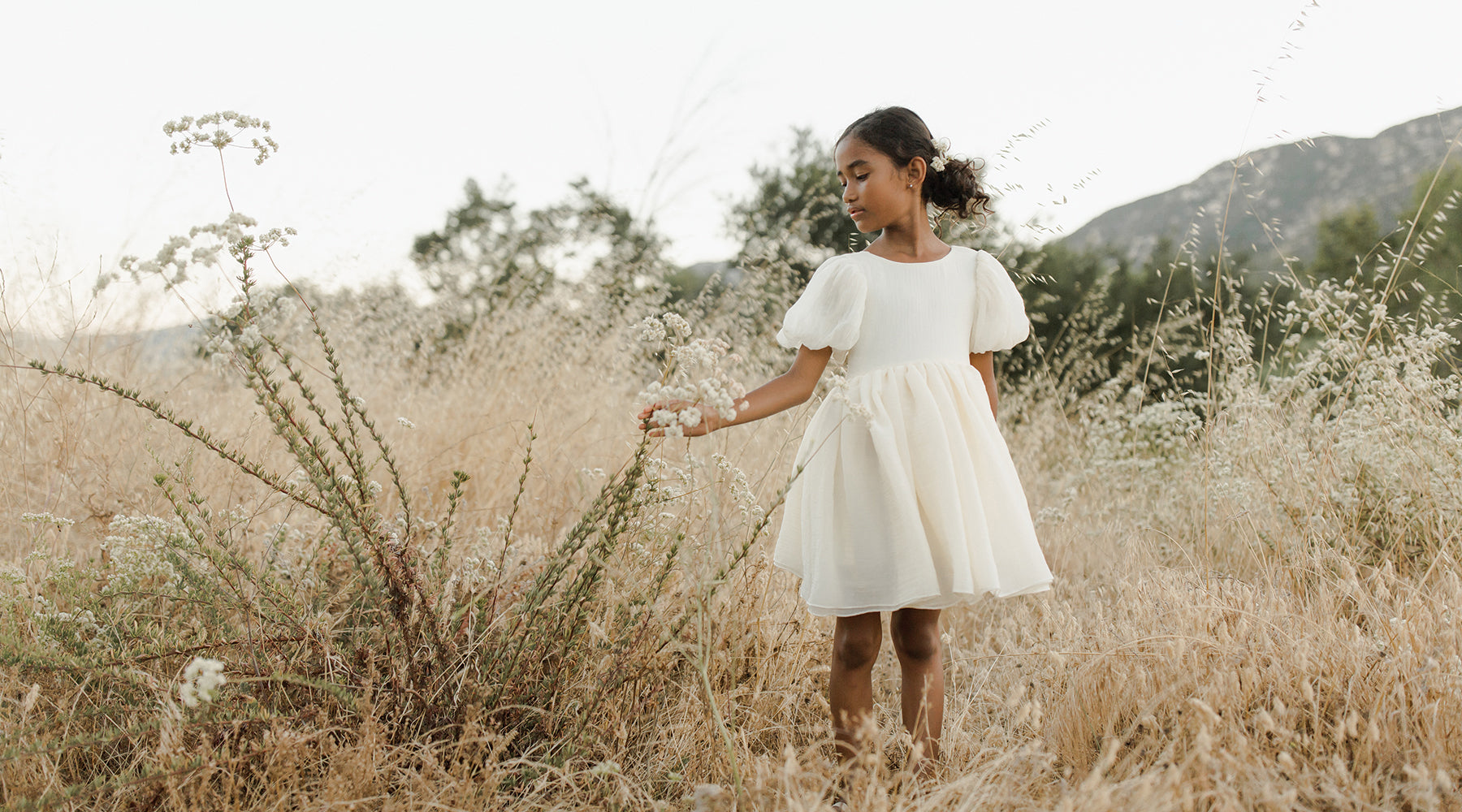 Noralee | Dresses for Every Occasion